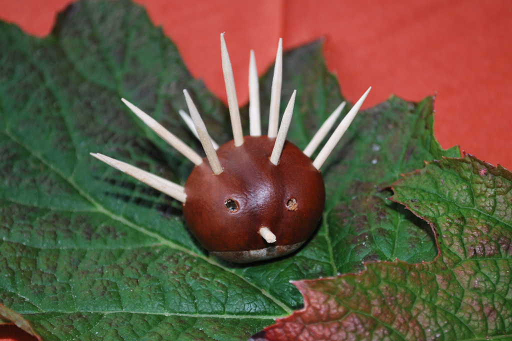 Igel Basteln Kastanien